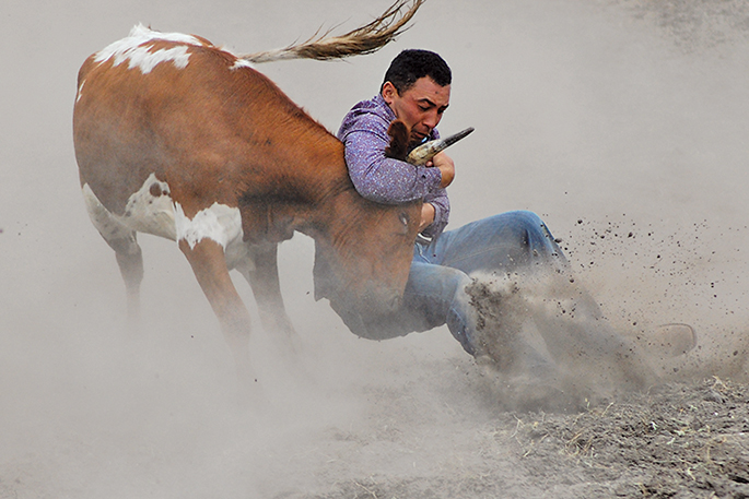Locals struggle to make their mark at Warkworth Rodeo - Local Matters