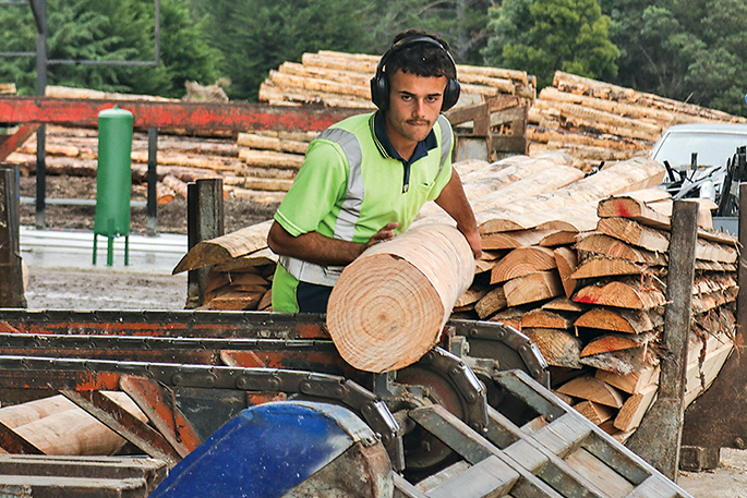 Topuni Timber ramps up production to meet demand - Local Matters