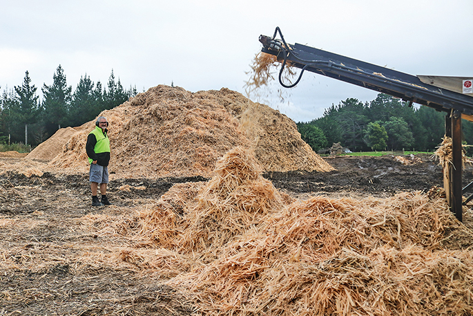Topuni Timber ramps up production to meet demand - Local Matters
