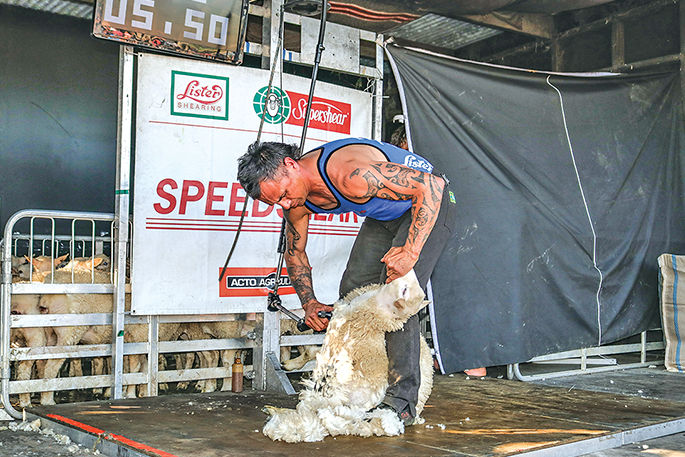 Dion King claims second win at Mangawhai speed shear - Local Matters