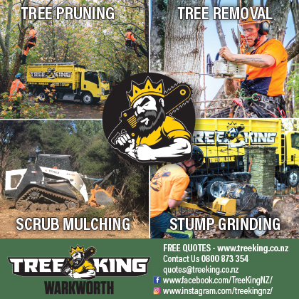 Introducing - Tree King - Local Matters