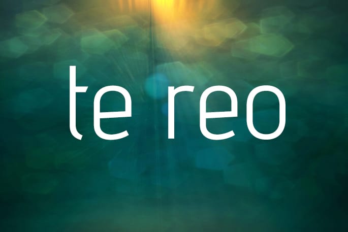 Teacher shortage a hurdle for school te reo lessons - Local Matters
