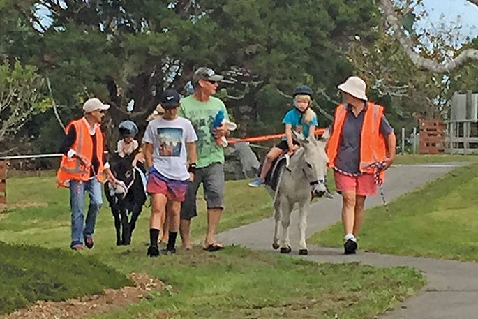 Donkey day attracts families - Local Matters