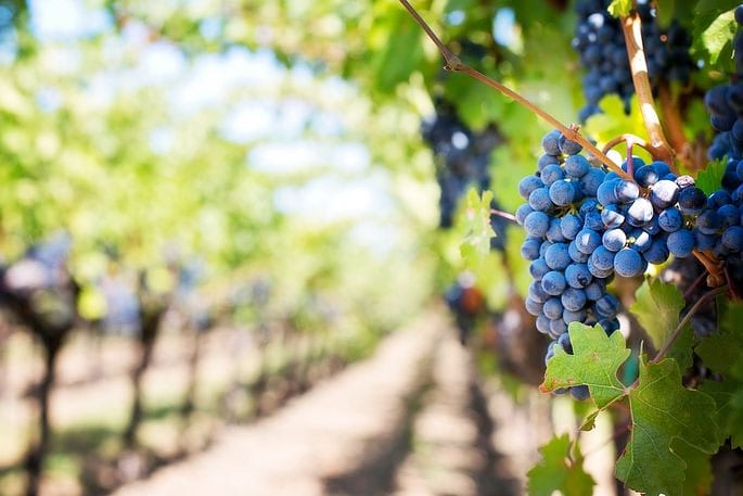 Ti Point link gone - Local Matters