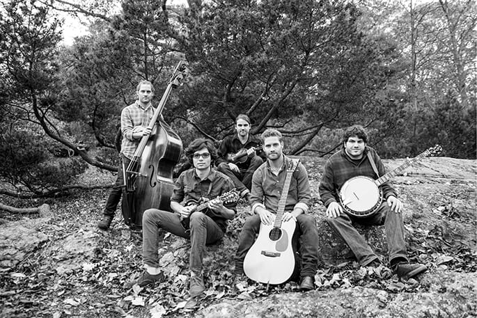 Modern bluegrass at Whangateau - Local Matters