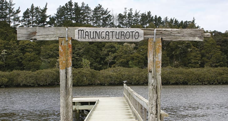 Our patch - Maungaturoto: Town stats - Local Matters