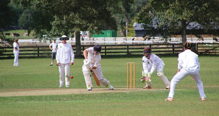 Season results confirm new era for Rodney cricket - Local Matters