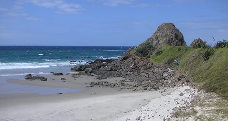 Te Arai access in spotlight - Local Matters