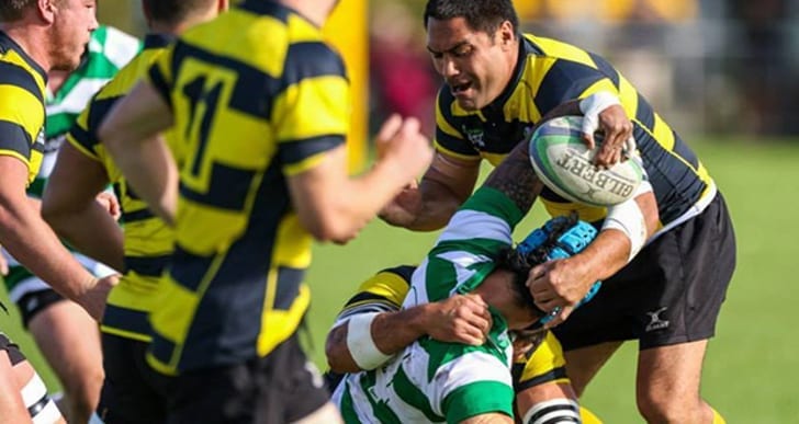 Waipu rugby side fails to close gap - Local Matters