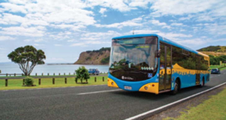 New Hibiscus Coast bus network - Local Matters