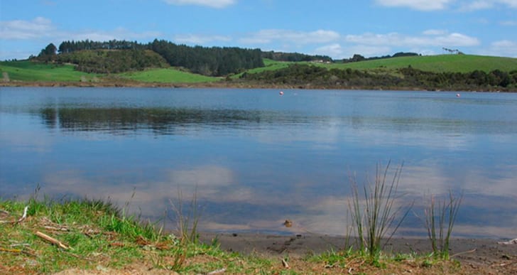 Plan to turn Tomarata into festival hub - Local Matters