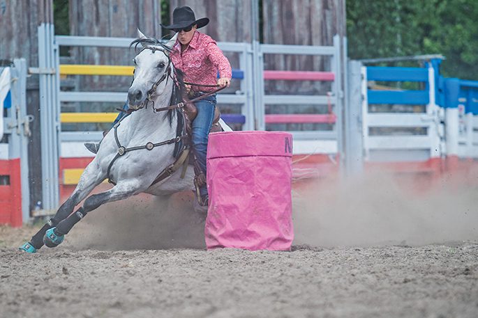 Rodney Local Board petitioned to stop Warkworth Rodeo - Local Matters