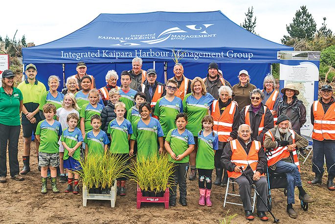 Tapora Māori take charge of Manukapua restoration - Local Matters