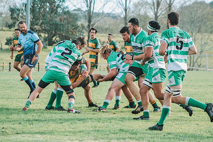 Hawks win championship - Local Matters