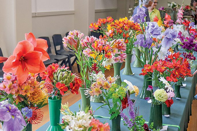 Entries wanted for Flower show - Local Matters