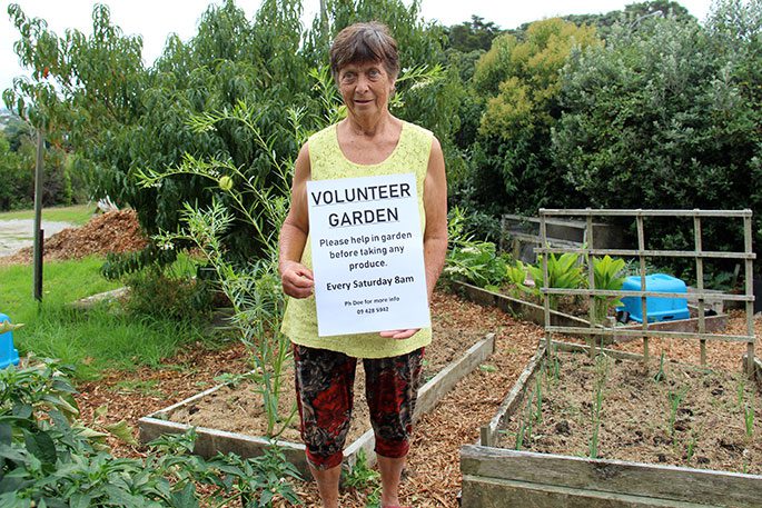 Repeated thefts blight community garden crops - Local Matters