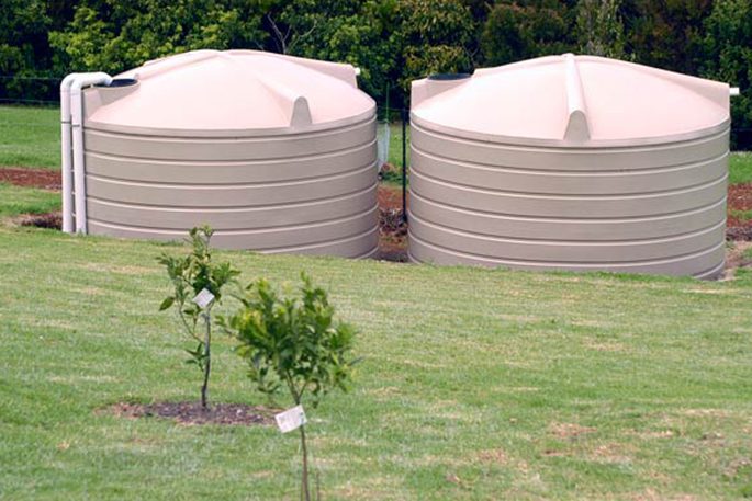 Summer tank care - Local Matters