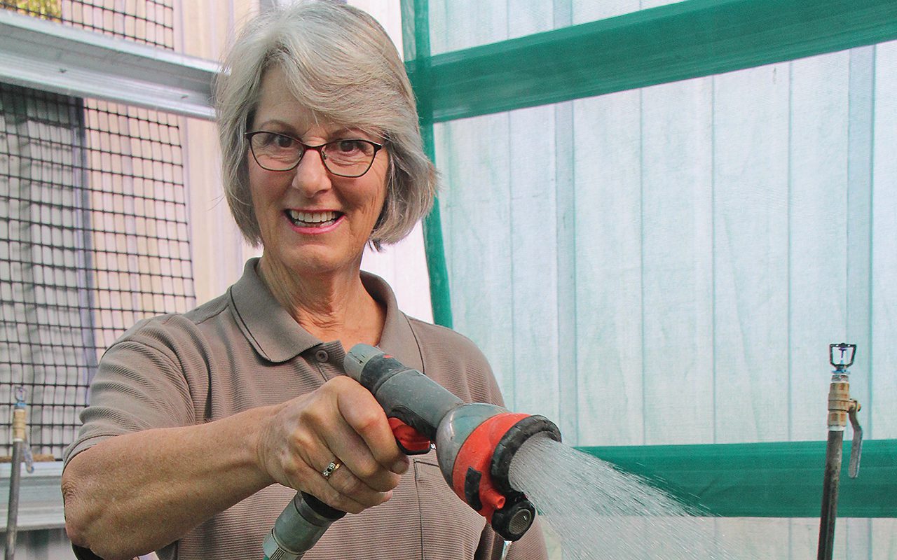 SOSSI volunteers sow seeds of success - Local Matters