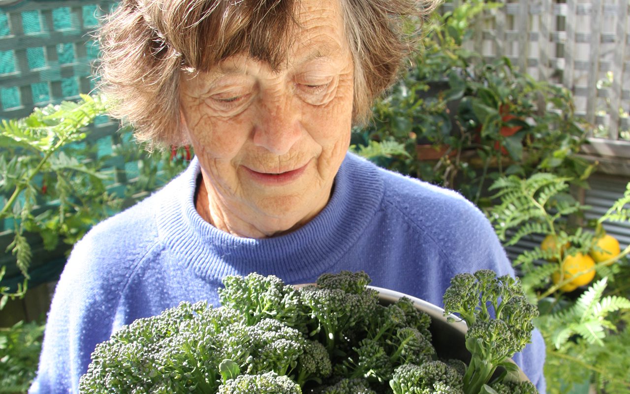 Gardening - Greening the bubble - Local Matters