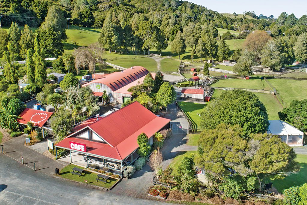 Sheepworld here we come - Local Matters