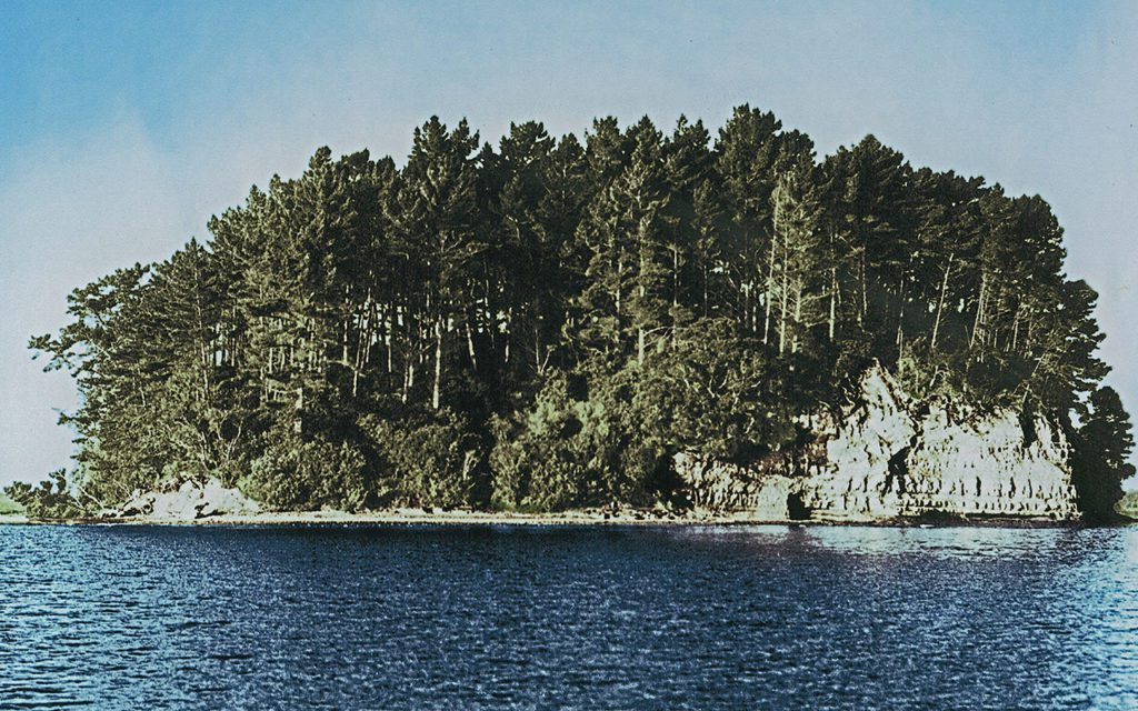 History - Island life - Local Matters