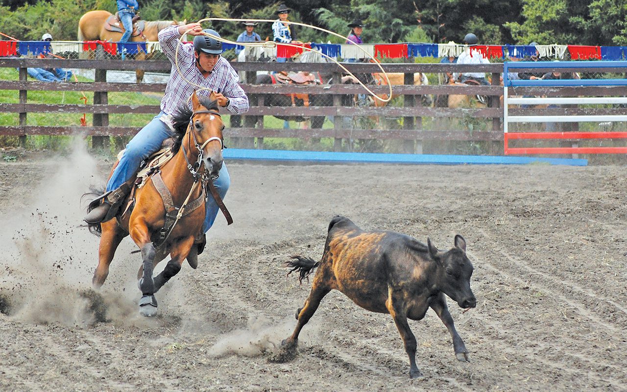Warkworth Rodeo vows to return in 2023 - Local Matters