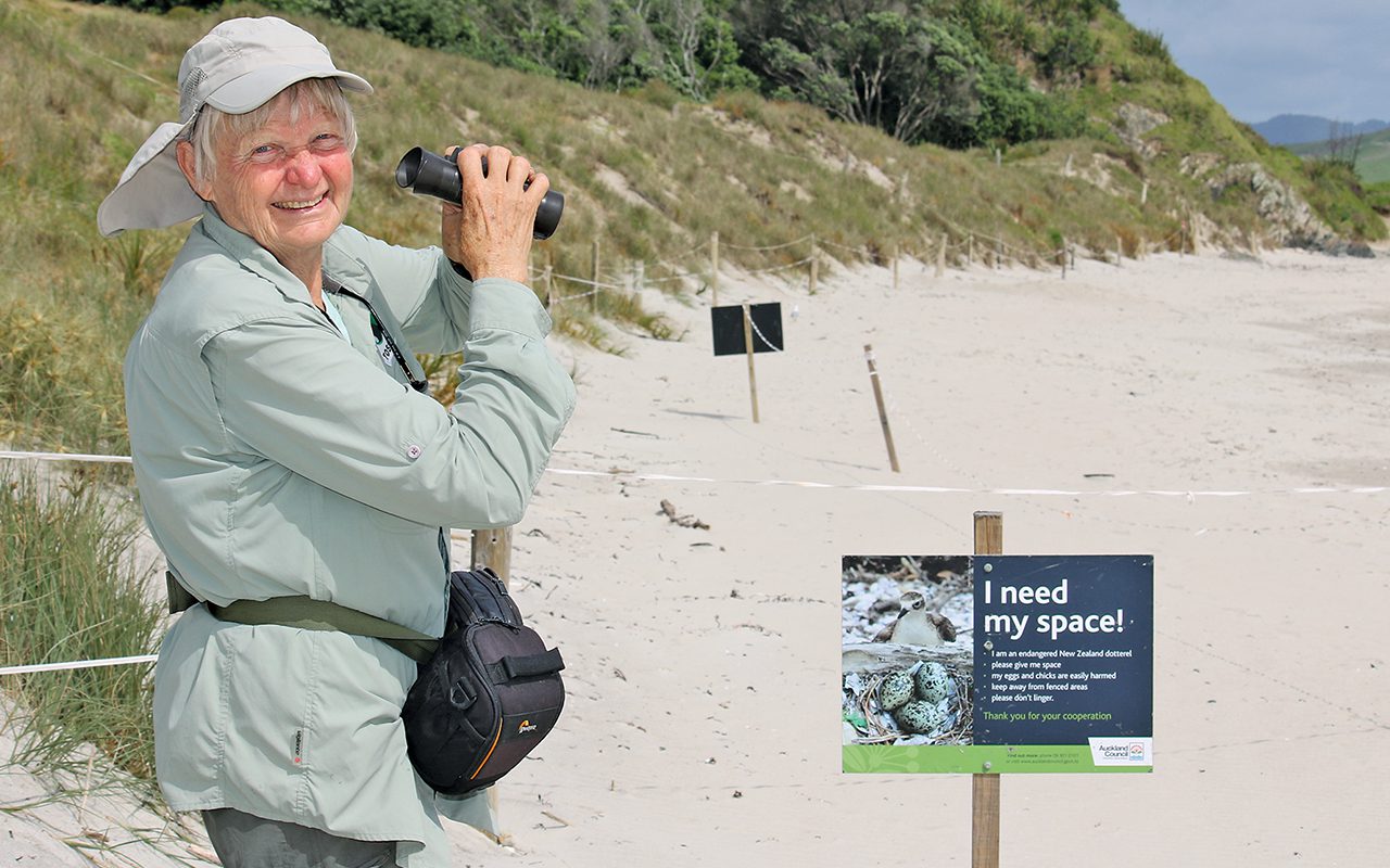 TOSSI - Think like a bird - Local Matters