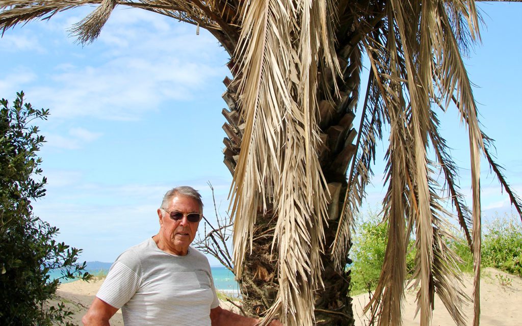 Poisoned palms pose risk of injury - Local Matters