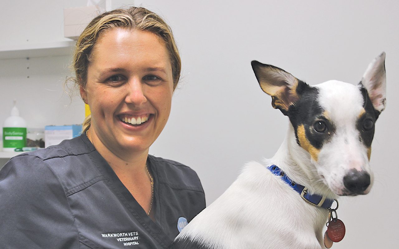Retiring vet exchanges stethoscope for spade - Local Matters