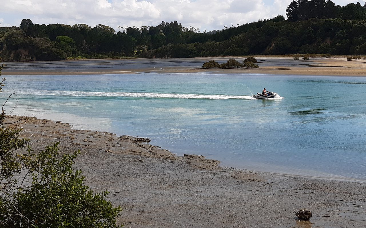 Coast Rides - Local Matters