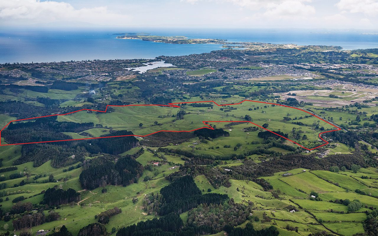 Wainui farm sold - Local Matters