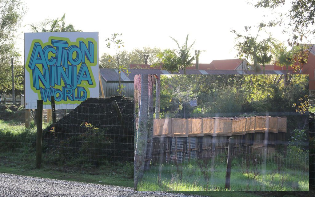 New consent submitted for Ninja World - Local Matters