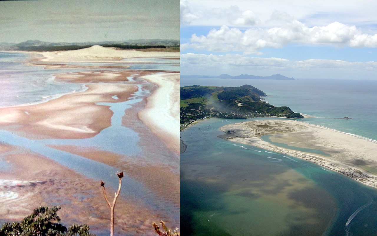 History - Saving the harbour - Local Matters