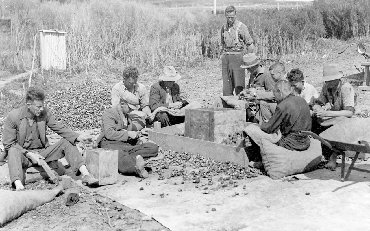 History - Gumdigger days - Local Matters