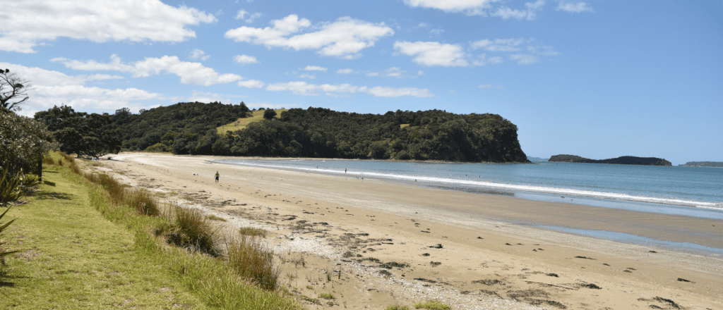 Mahurangi Regional Park - Local Matters