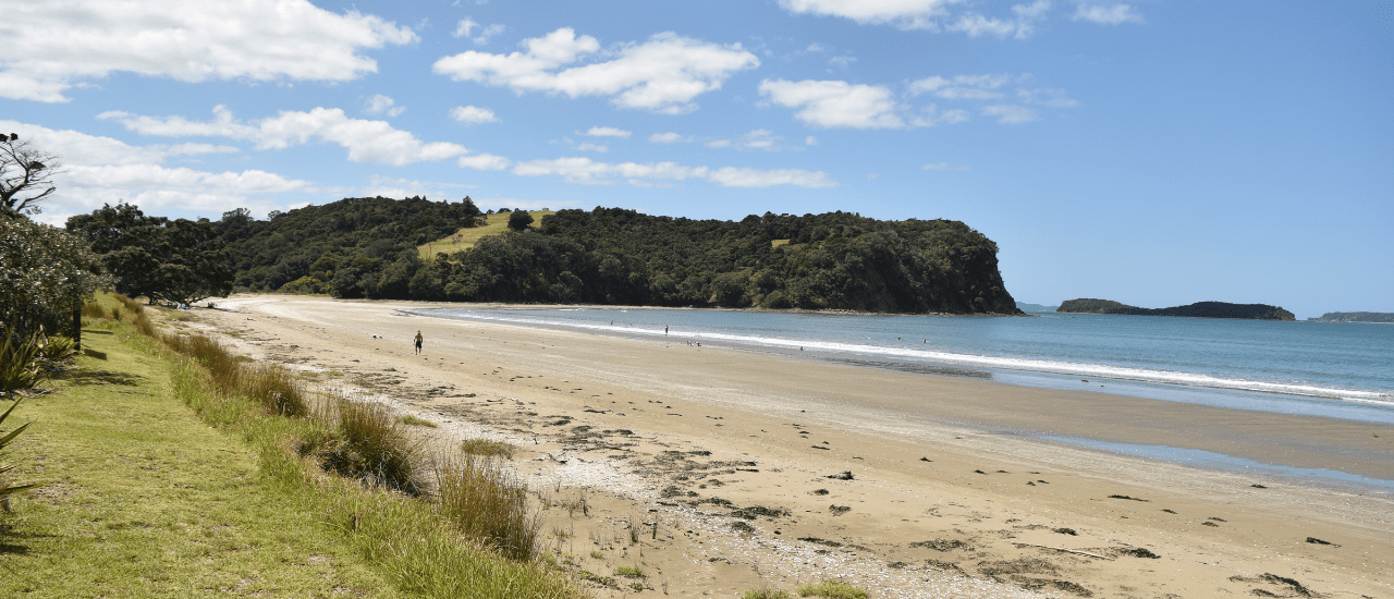 Mahurangi Regional Park - Local Matters