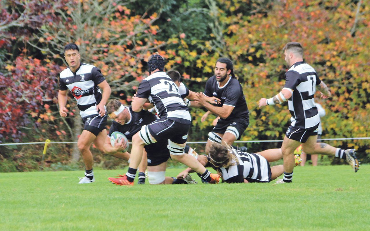 Wellsford rugby goes head-to-head with Kamo - Local Matters