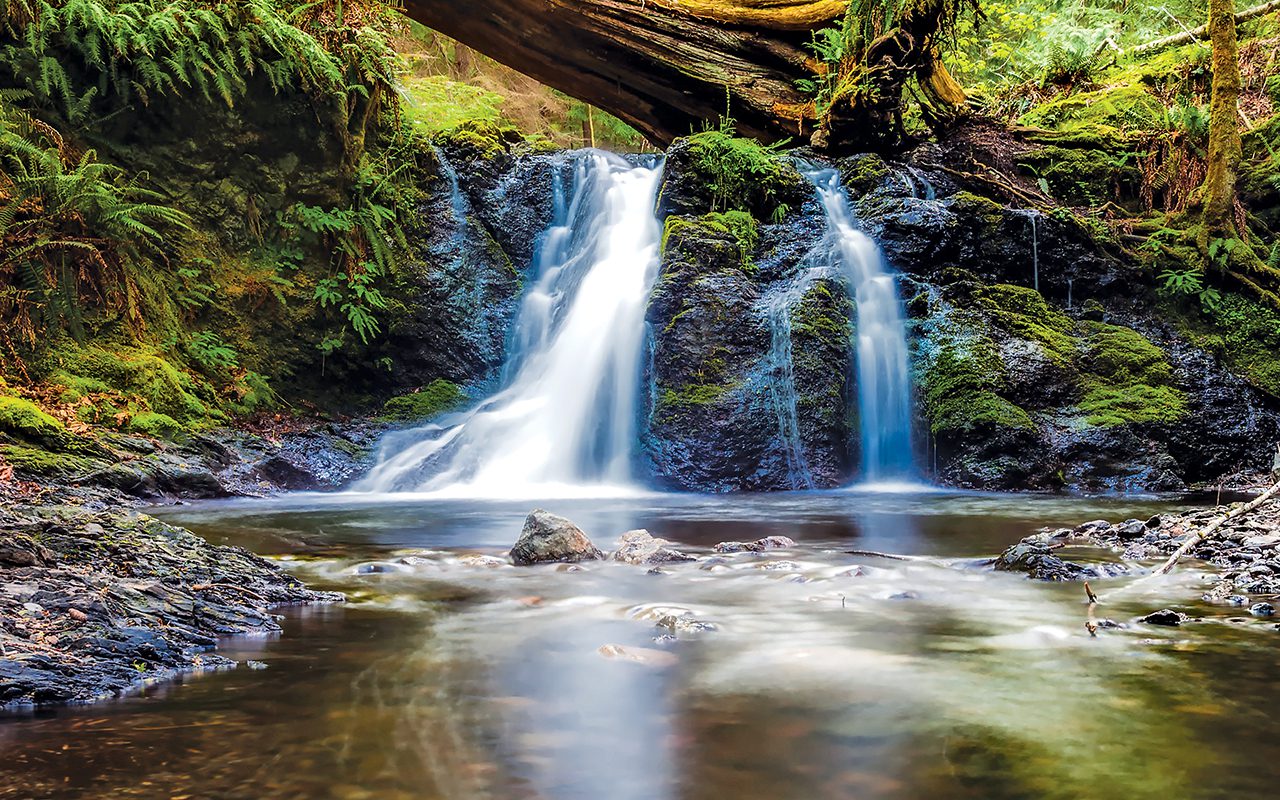 Council consults on freshwater - Local Matters