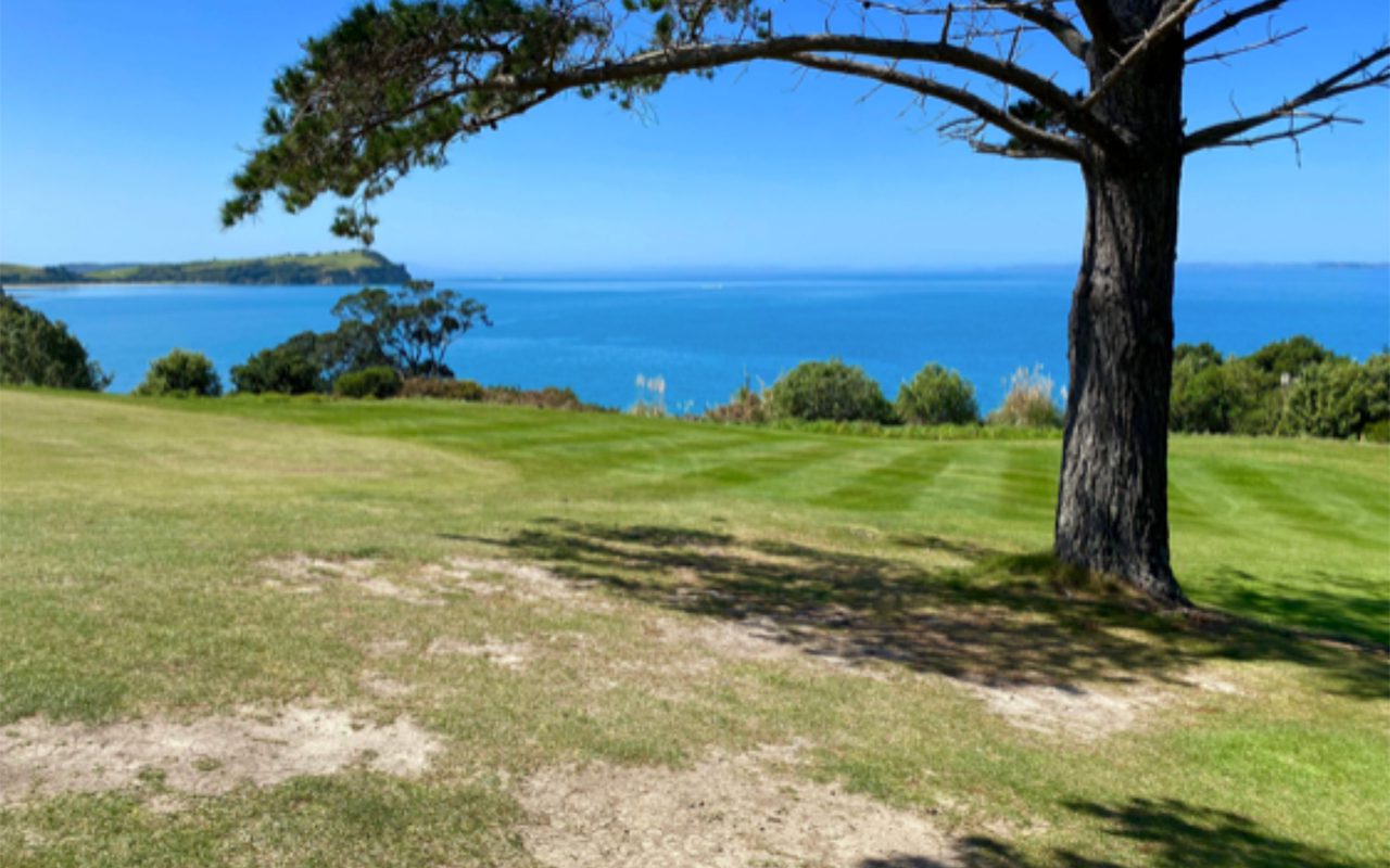 Group forms to preserve peninsula’s open space - Local Matters