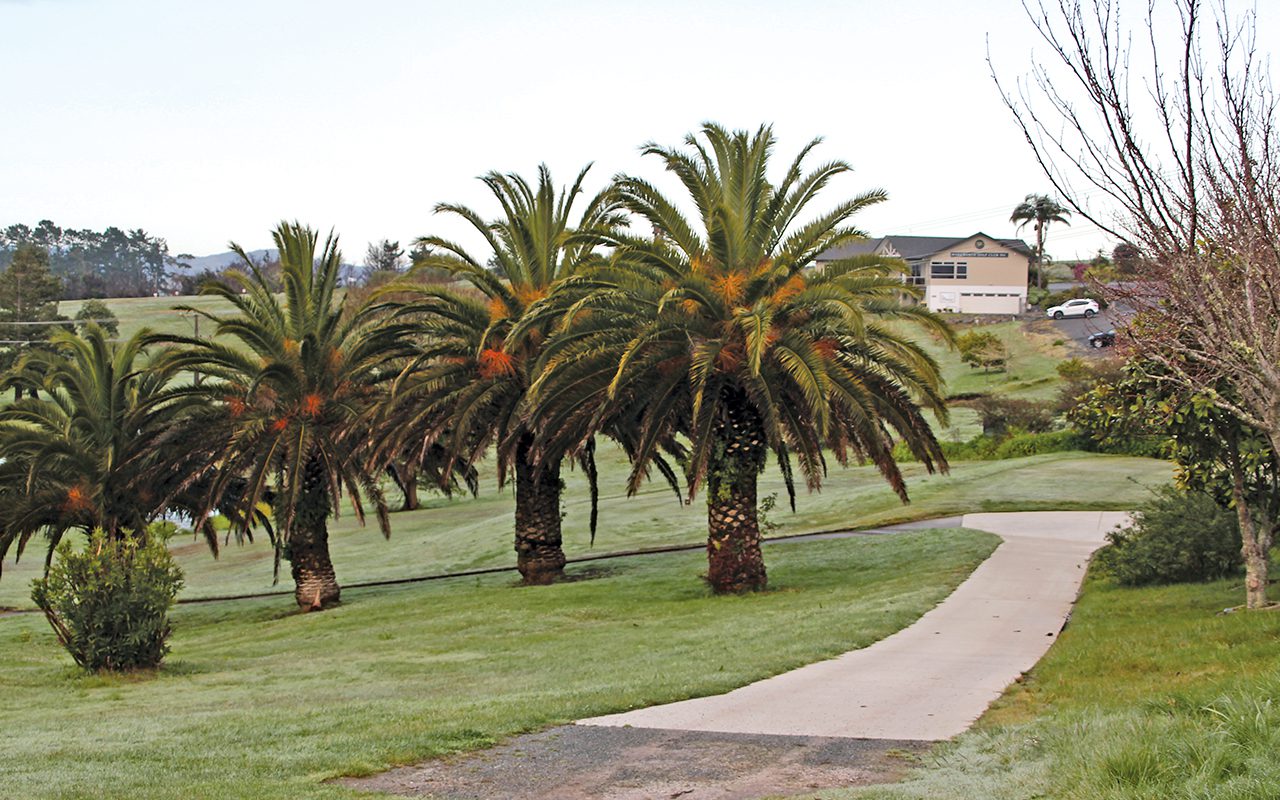 Spring Pairs boost golf course path project - Local Matters