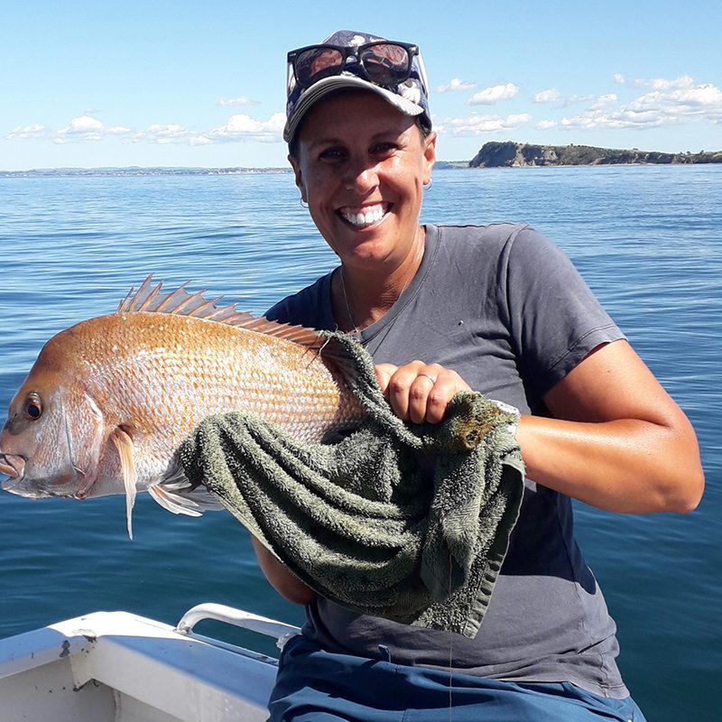 Hibiscus and Bays Local Board candidates - Local Matters