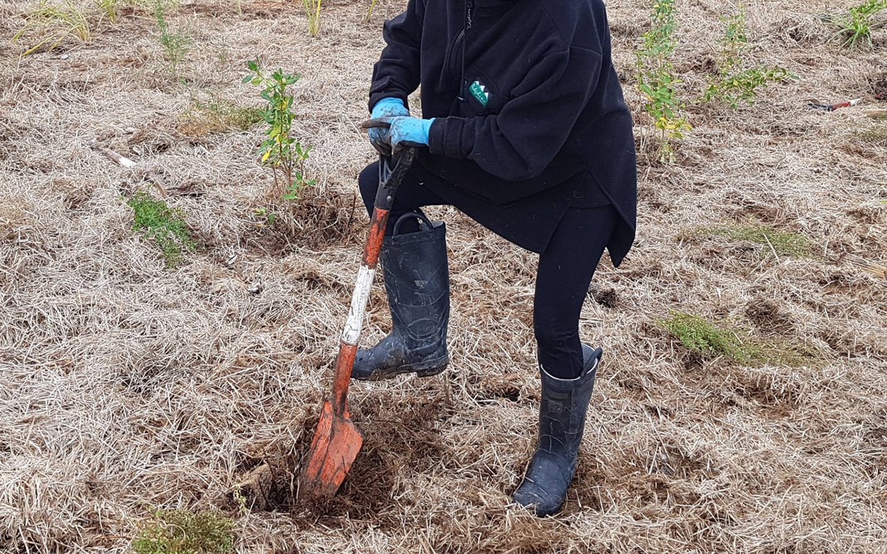 Health - Gardening for health - Local Matters