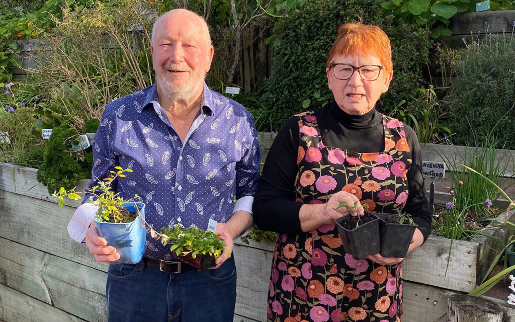 Seed saving solutions stall - Local Matters