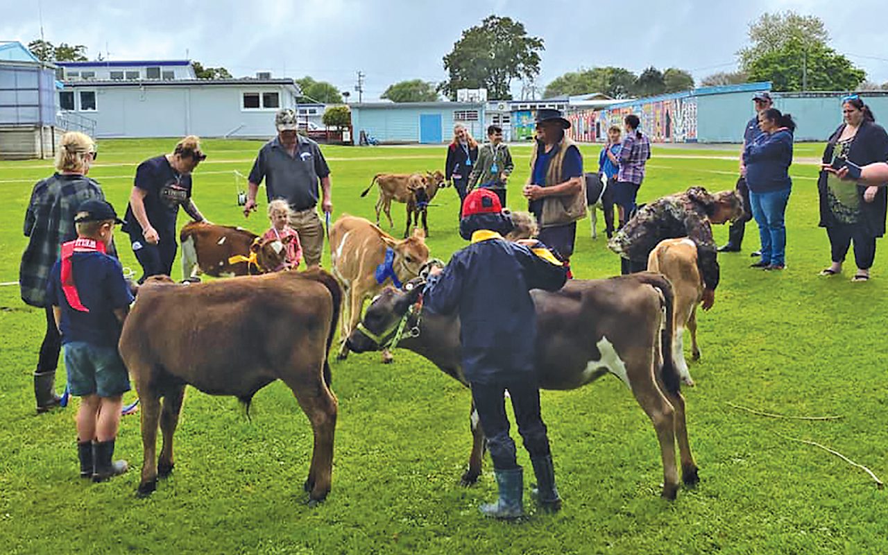 Wellsford School Ag Day success - Local Matters