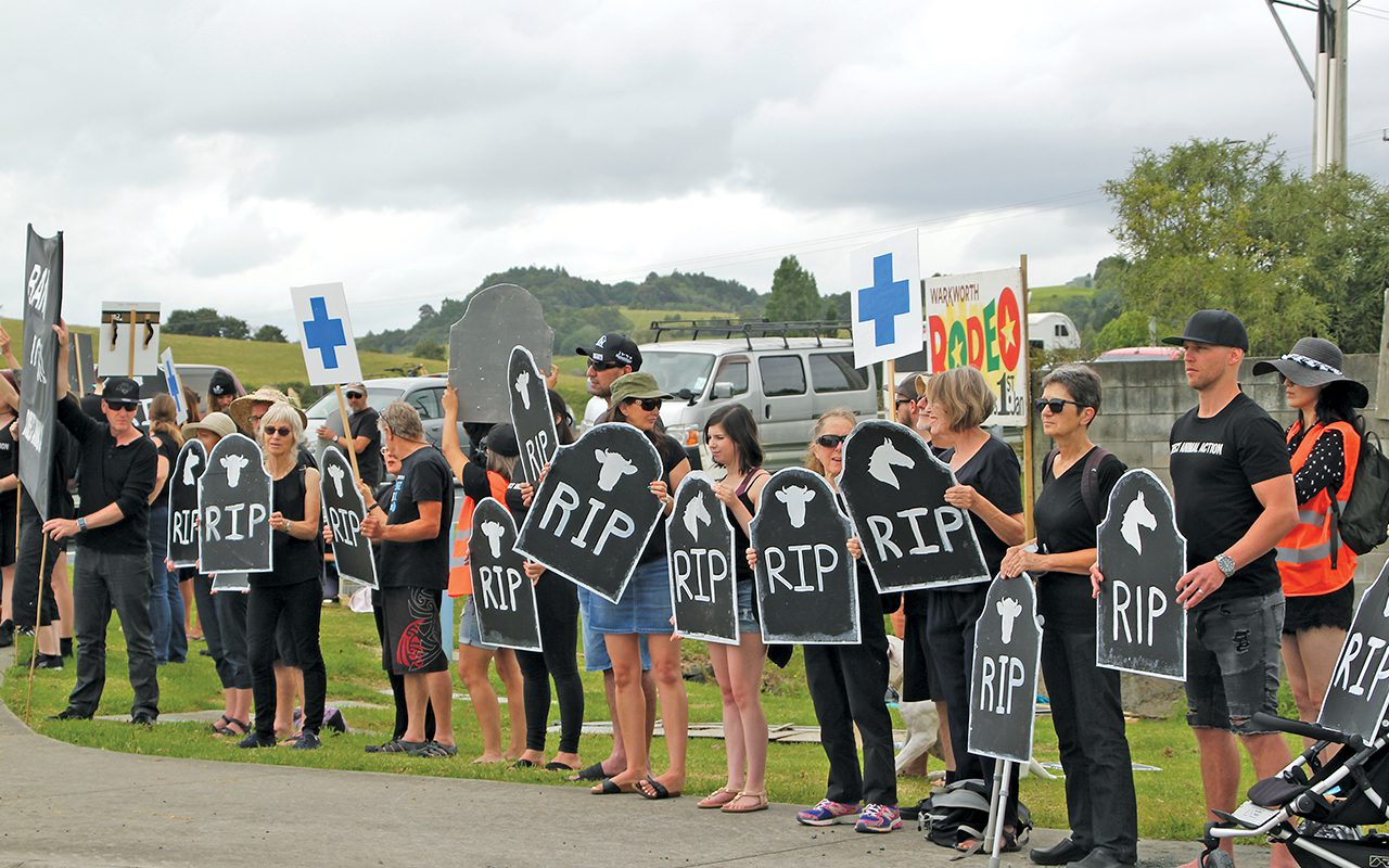 Anti-rodeo protest shifts to local parks plan hearing panel - Local Matters