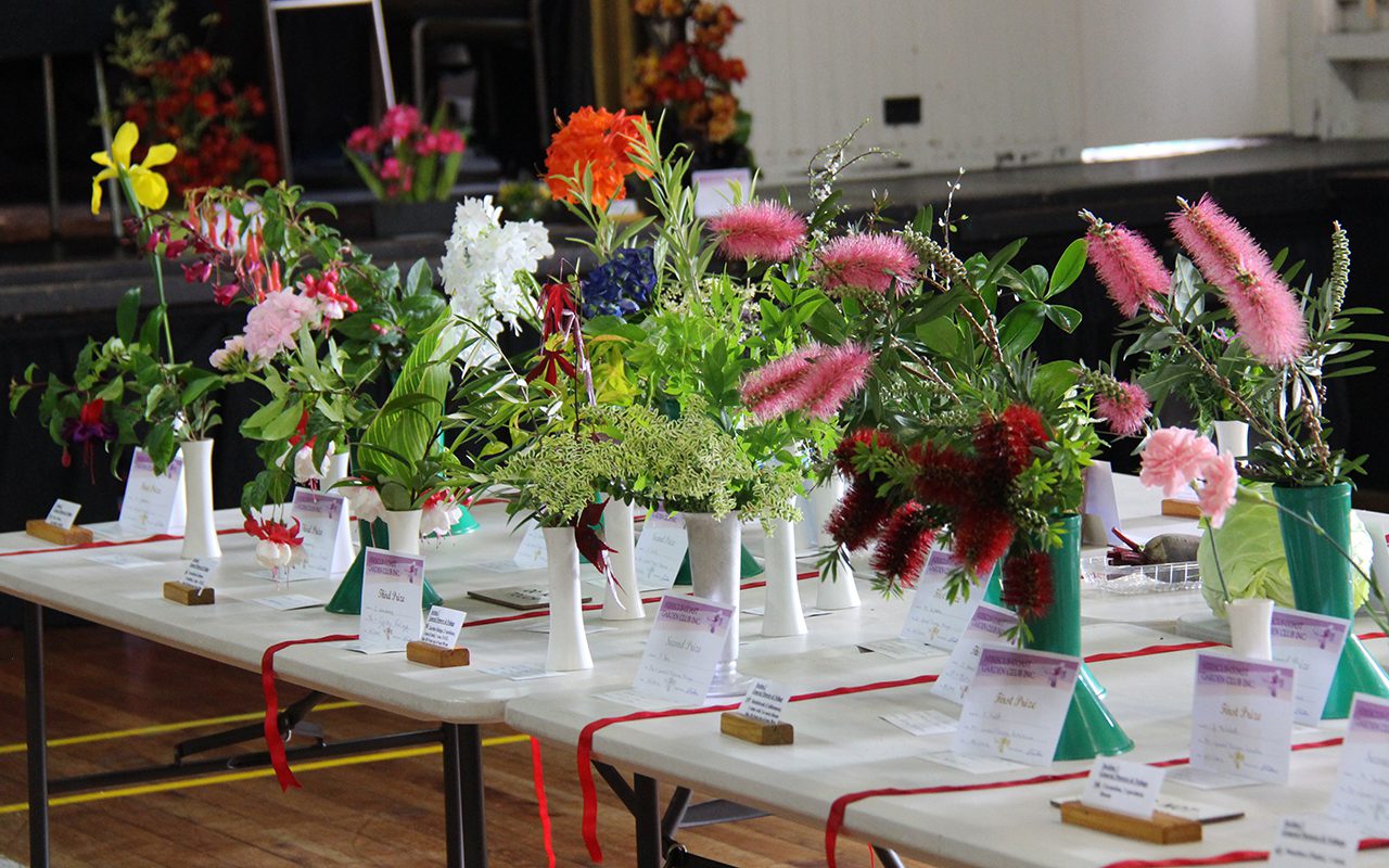 Things look rosy for garden show - Local Matters
