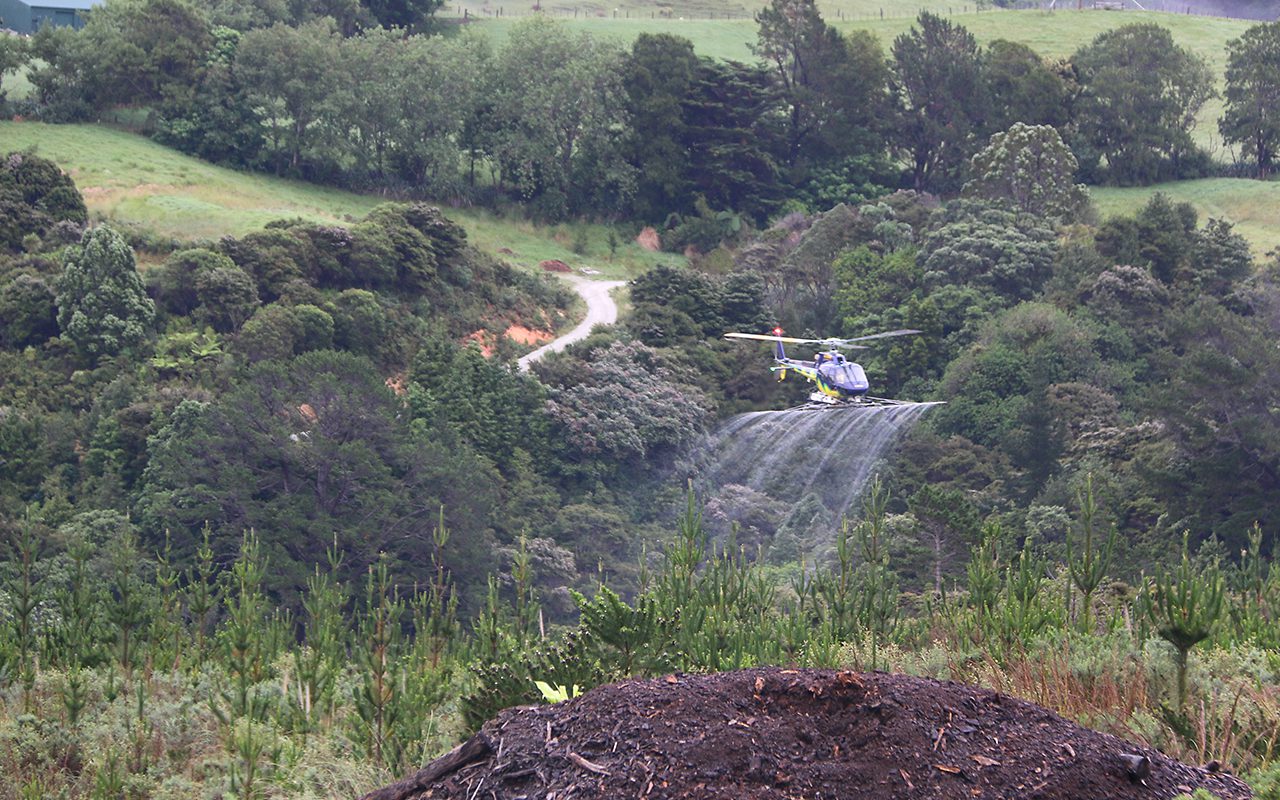 Ti Point weed project starts - Local Matters