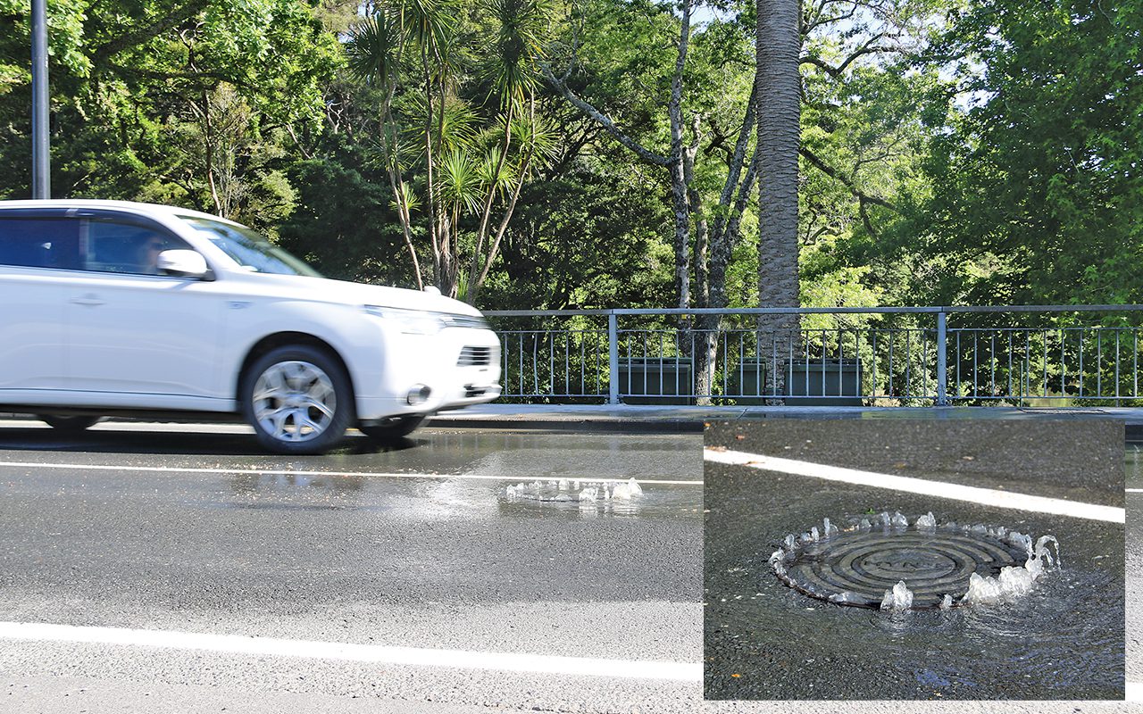 Fats cause overflow problems - Local Matters