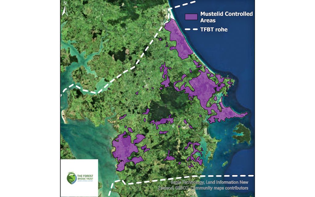 Visionary project creates corridors of safety for wildlife - Local Matters