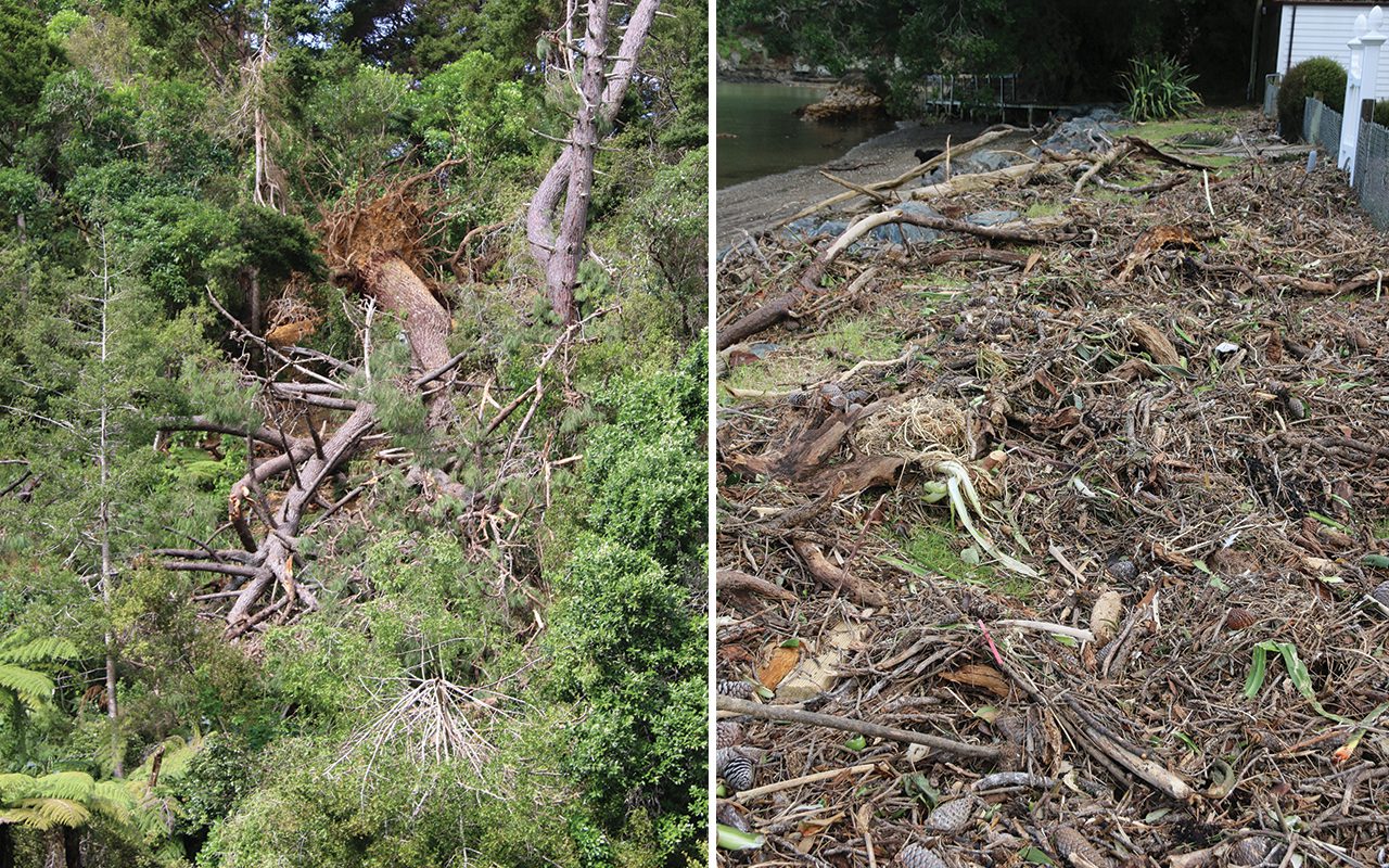 Beaches bear brunt of cyclone damage - Local Matters